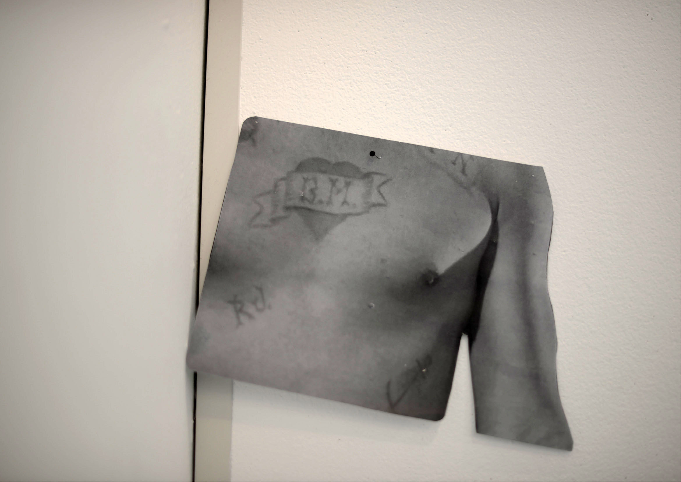 Viv Viv Vivian It’s Vitreous Shell 16